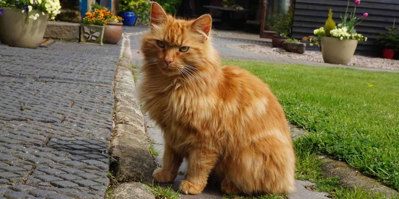 About - Dannah Farm Country House Ltd