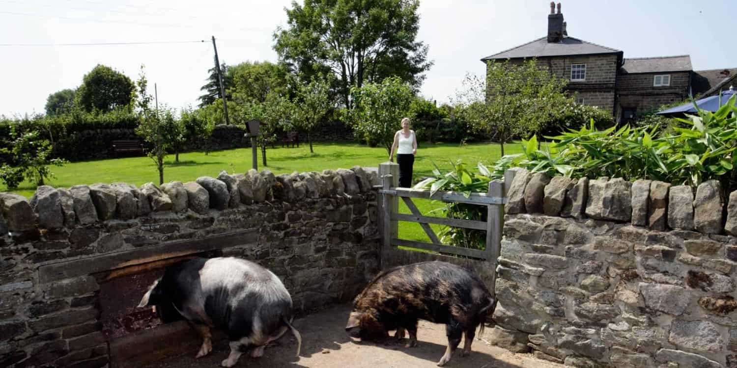 Garden & Grounds - Dannah Farm Country House Ltd